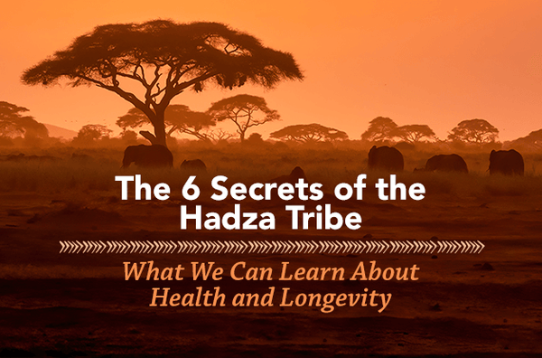 The 6 Secrets of the Hadza Tribe: What We Can Learn About Health and L
