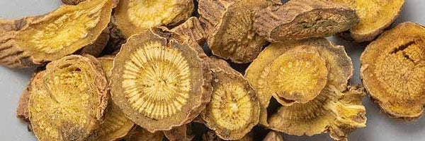 Chinese Skullcap