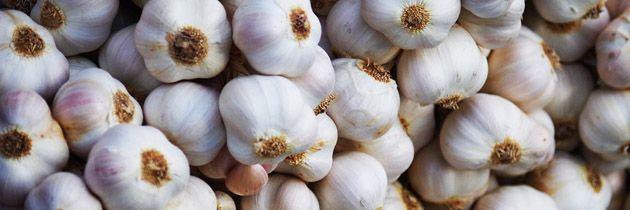 Garlic Allicin | Uses, Benefits, Side Effects of Garlic Allicin