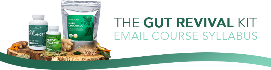 Gut Revival Kit Email Course Syllabus – Vital Plan