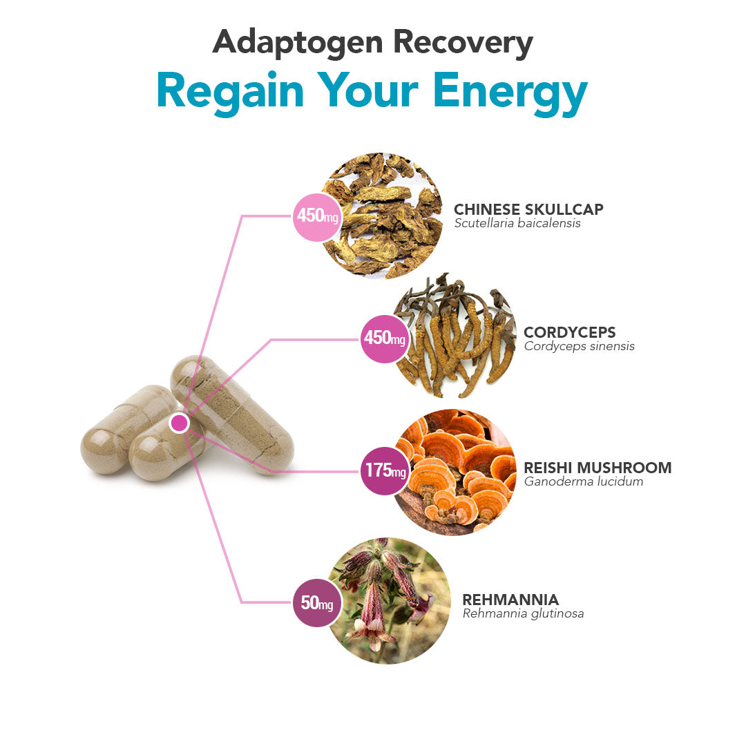 Restore Kit | Dr. Bill Rawls' Herbal Protocol
