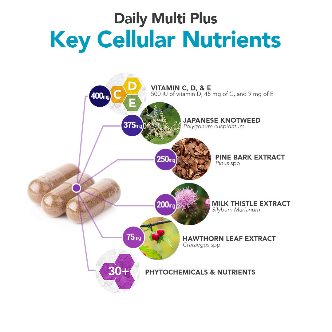 Restore Kit | Dr. Bill Rawls' Herbal Protocol