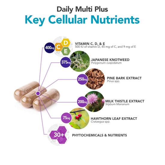 Vital Plan Kits and Products | Cellular Wellness Herbal Supplements