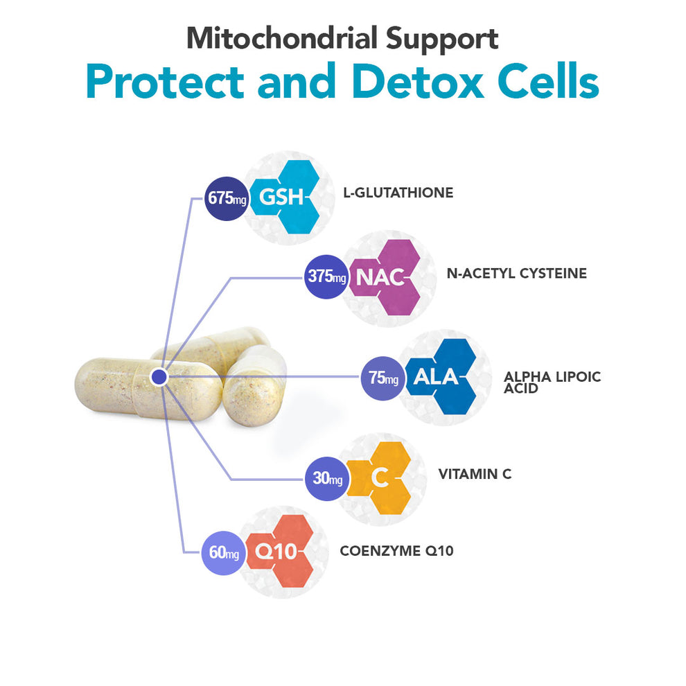 Restore Kit | Dr. Bill Rawls' Herbal Protocol