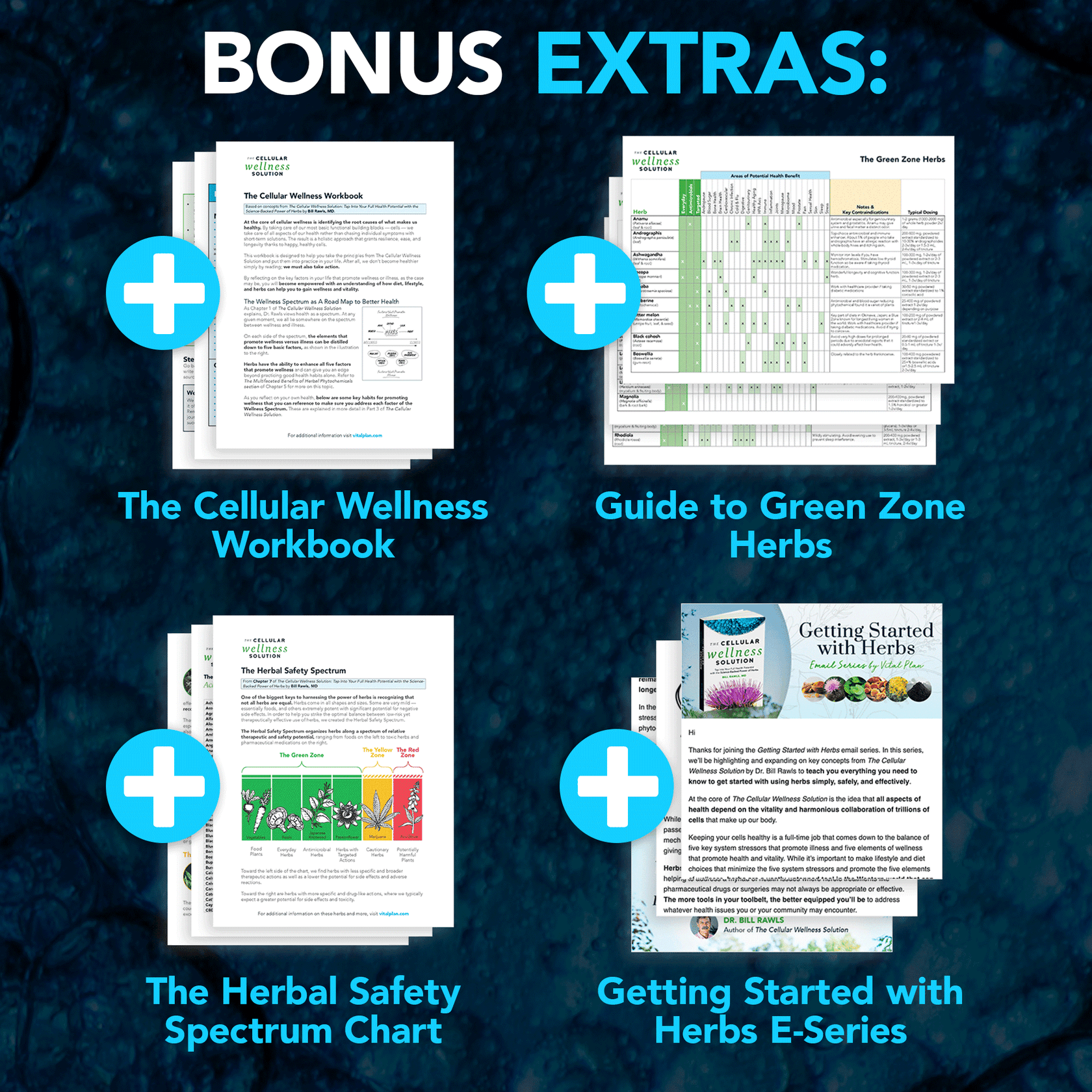The Cellular Wellness Solution By Dr. Bill Rawls