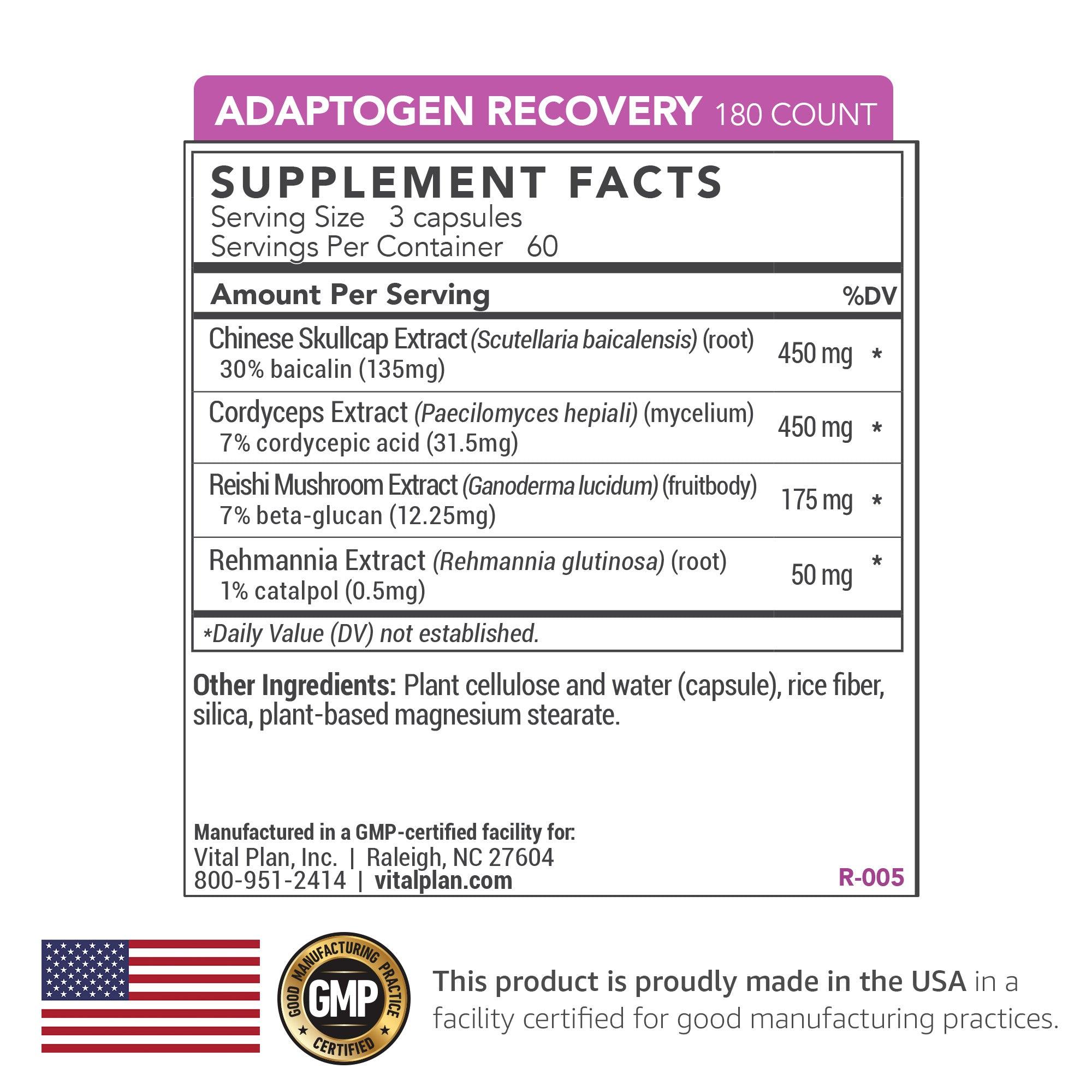Adaptogen Recovery | Rich In Adaptogens, Cordyceps & Reishi