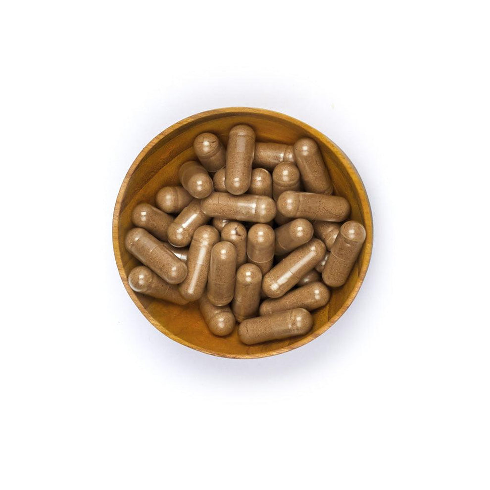 Advanced Biotic | Supports Immune System & Balances Microbiome